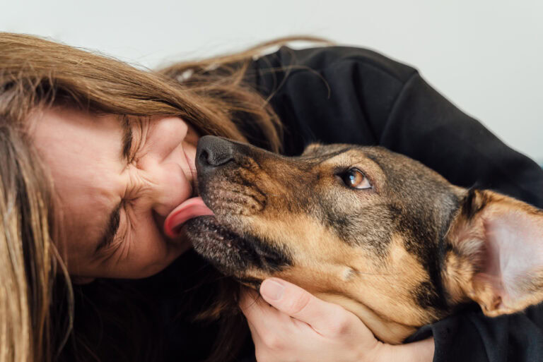How Do Dogs Show Affection and How Should You Show It?